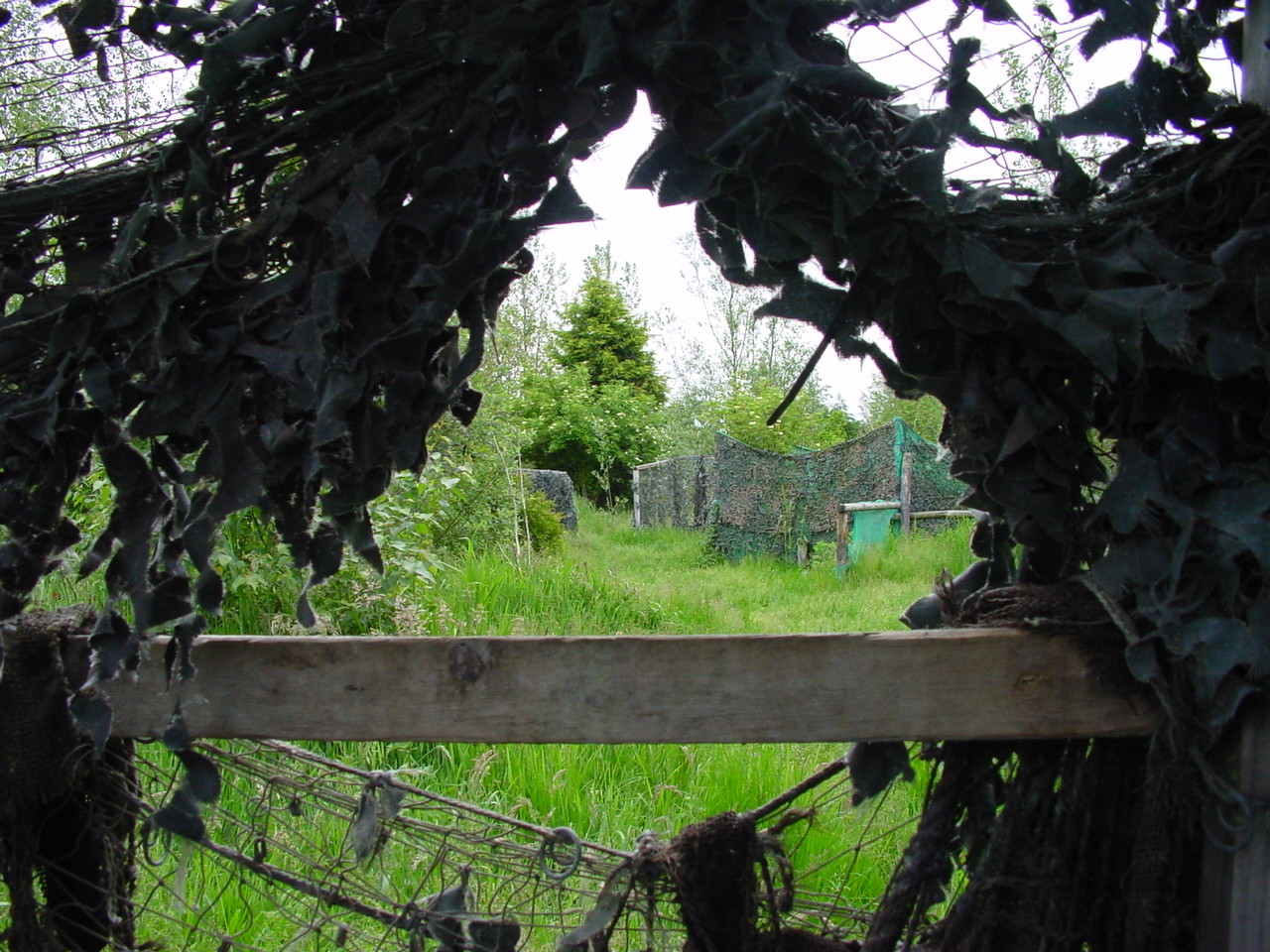 Open Skirm | RSL Airsoft | Airsoft DB